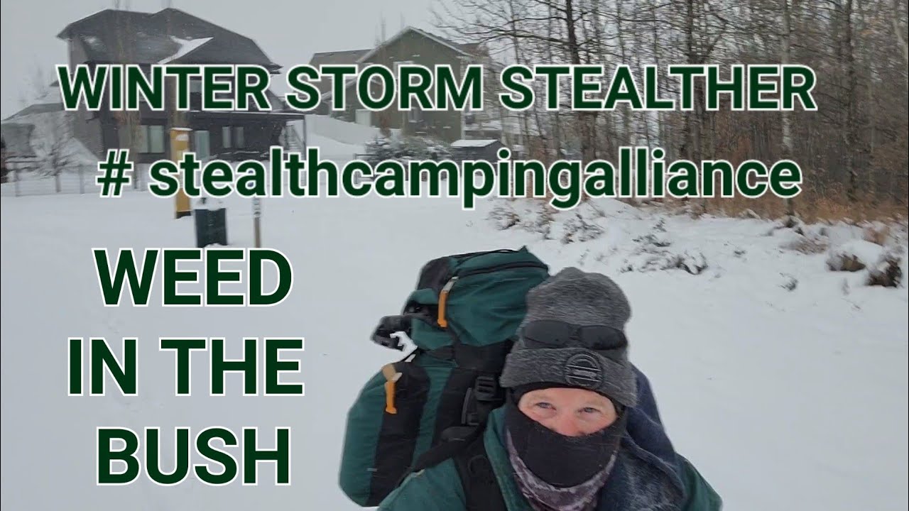 WINTER STORM STEALTHER #stealthcampingalliance #wintercamping - YouTube