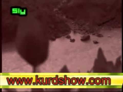 Sehid Hozan Serhed Hewler