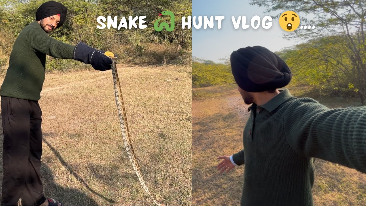Snake 🐍 capture vlog.,,, a day as a snake hunter.,,🫡🫡 - YouTube