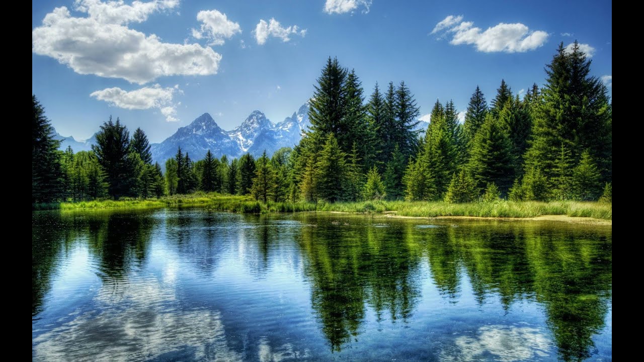 Relaxation Music Piano to calm your Body and Mind - YouTube Music