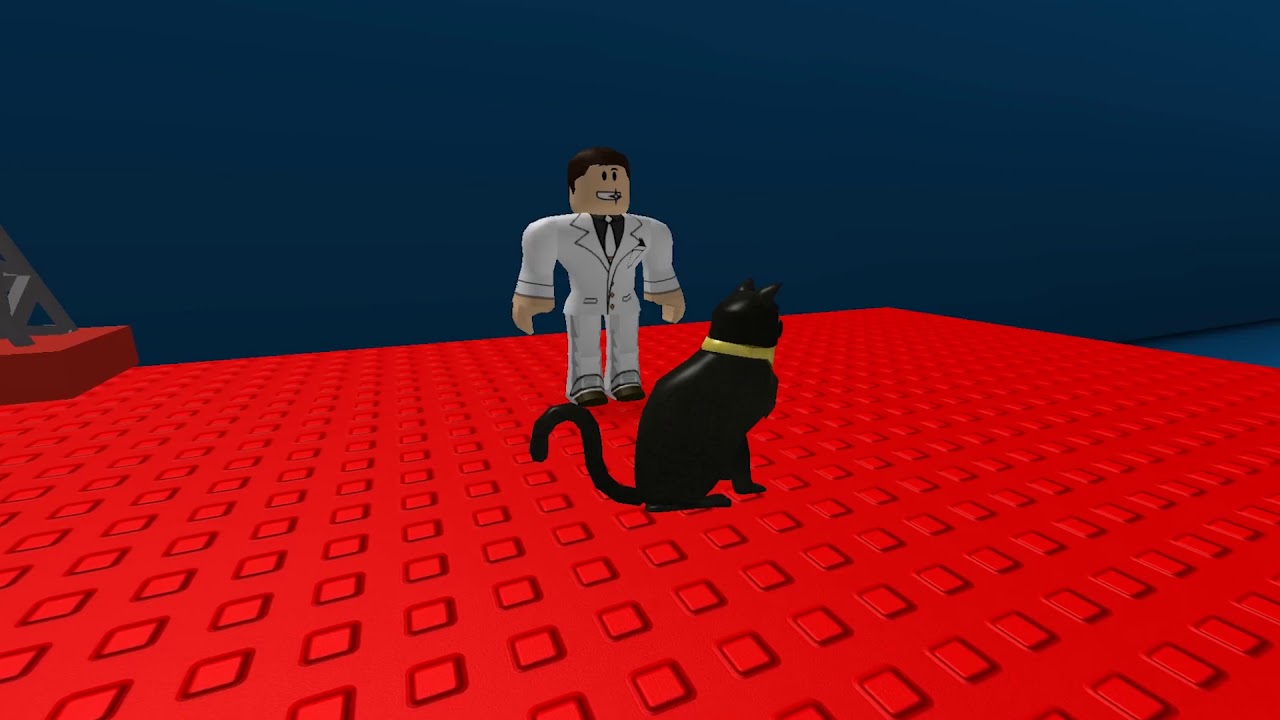 SIR MEOWS A LOT WINS A GAMESHOW! - YouTube