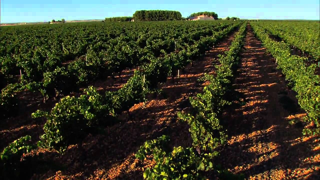 LOZANO WINERY LA MANCHA SPAIN - YouTube