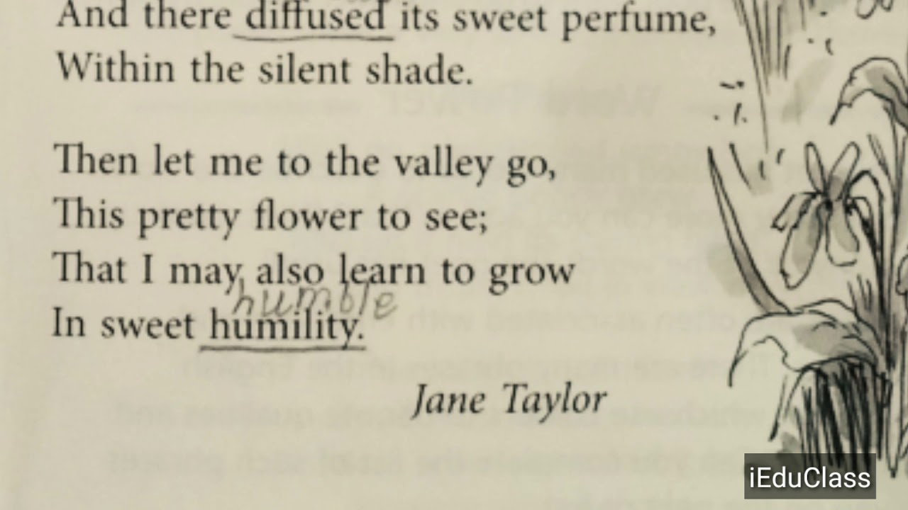 The Violet (Poem) by Jane Taylor - YouTube