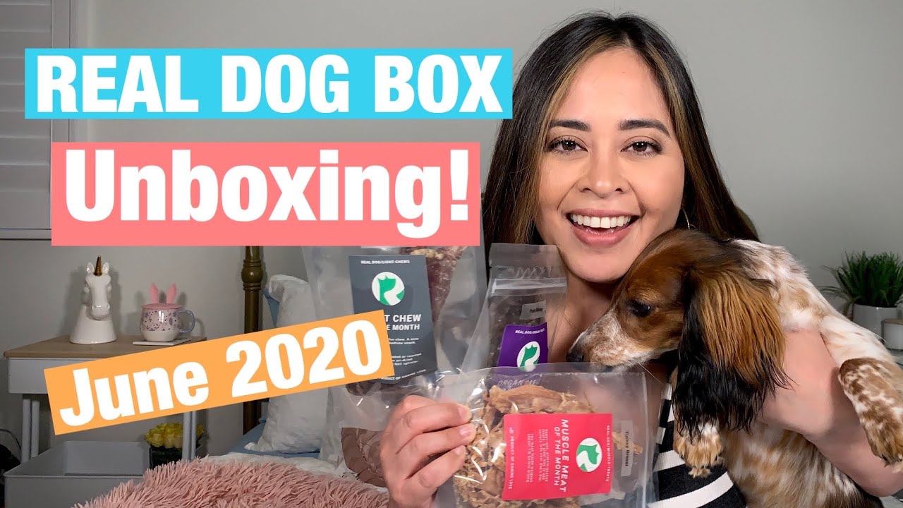 Real Dog Box June 2020 Unboxing - YouTube