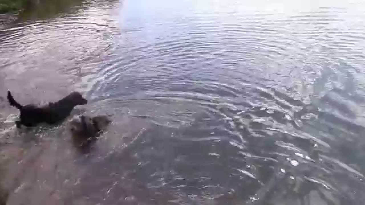 Cora & Kim - YouTube