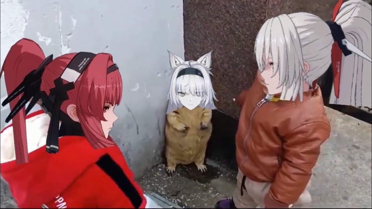 [Punishing : Gray Raven] Legend warzone (lightning 3.0/3/3.1 + dark 3/4 ...