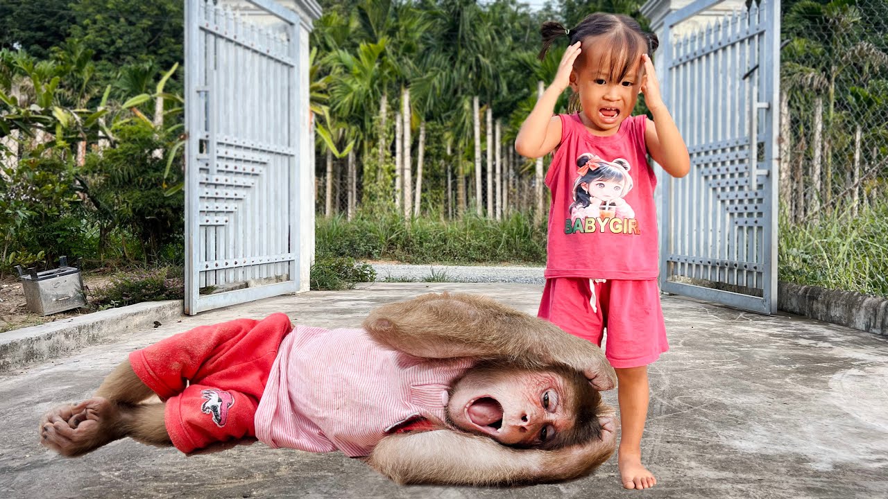 OMG😱 Cutis is doing something confusing...? - YouTube