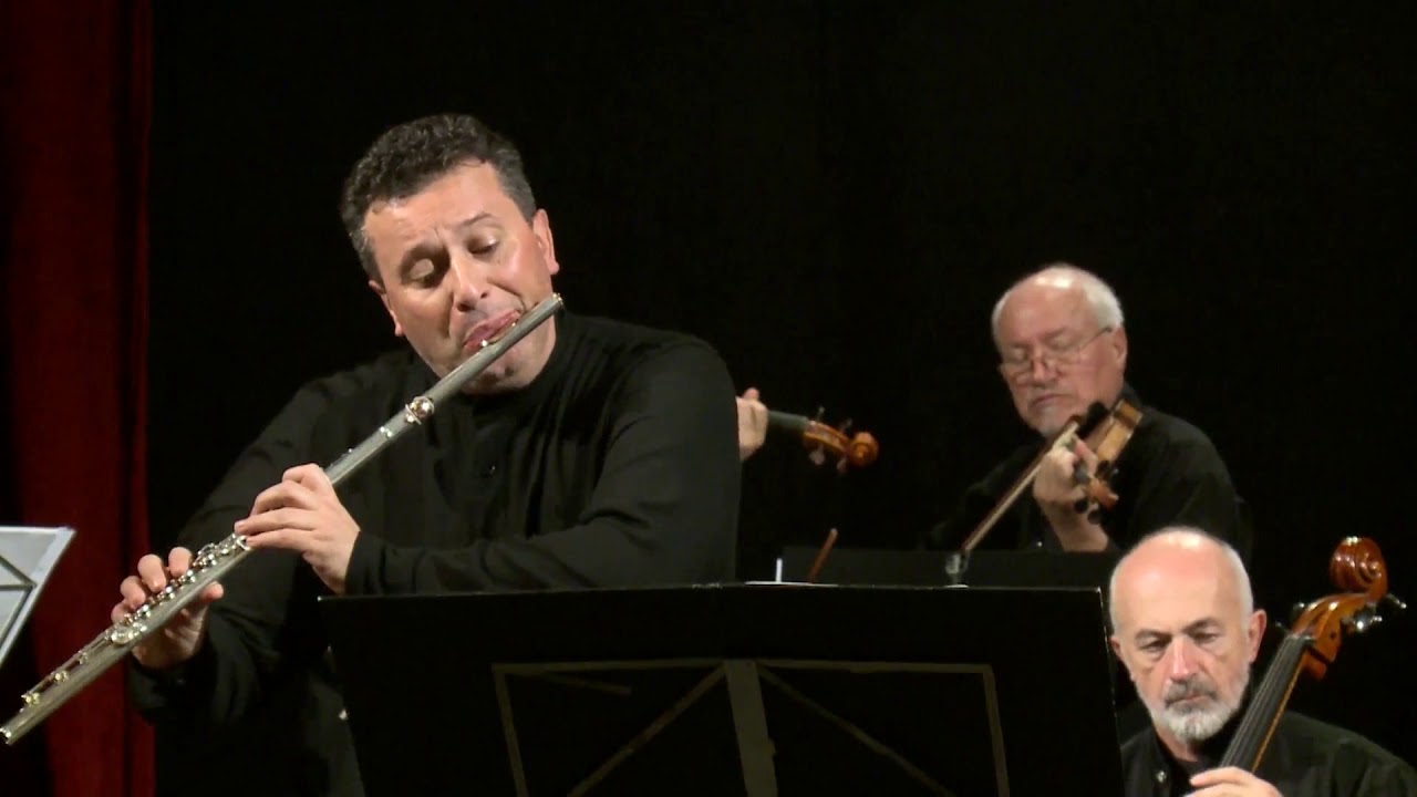Dejan Gavric : C.Ph.E Bach - Flute Concerto in D minor, Wq 22, (2nd ...