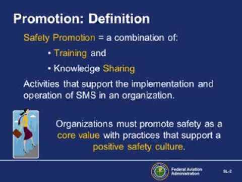 Safety Management Systems Fundamentals - Safety Promotion Component ...