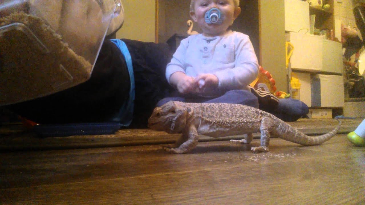 Toby and the wriggly worms! - YouTube