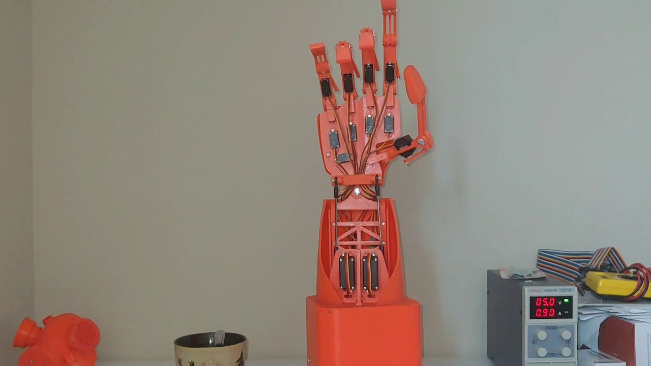 Wrist and Forearm Motion Check - YouTube