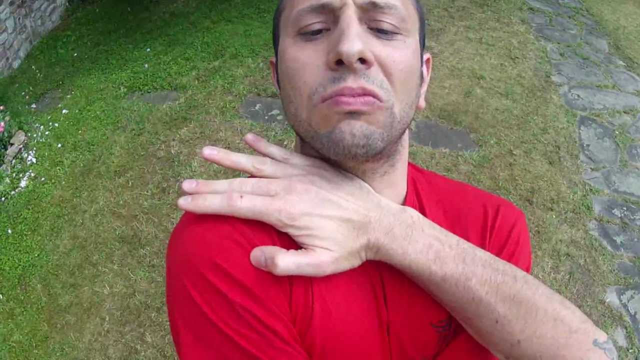 Ip Man Ip Ching Wing Chun Kung Fu - first person view - Muk Yan Chong ...