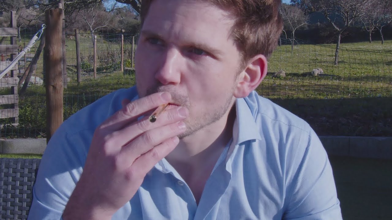 Gideon FvD: Lang Leve(n) Cannabis - YouTube