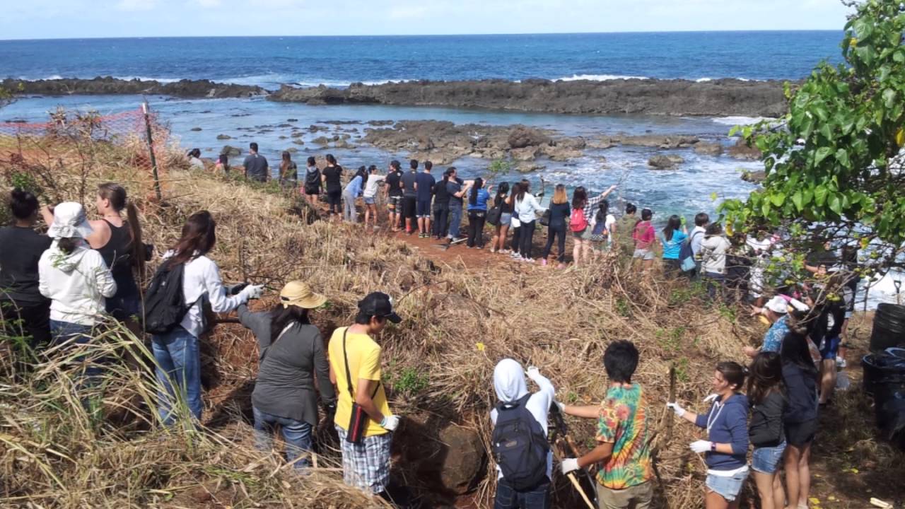 Malama Pupukea-Waimea Native Hawaiian Plant Coastal Restoration Project ...