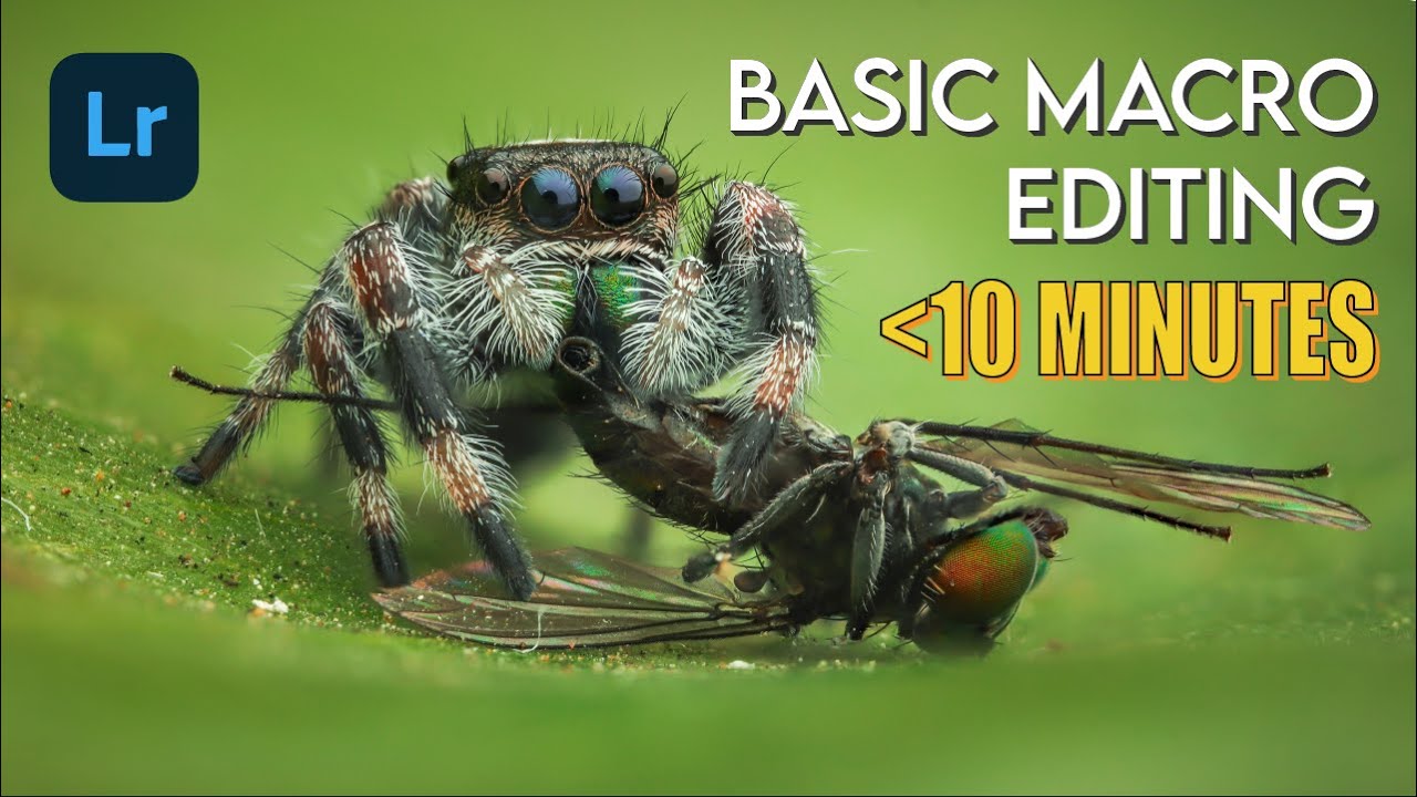 Learn BASIC MACRO Photo Editing in LESS than 10 MINUTES [Lightroom ...
