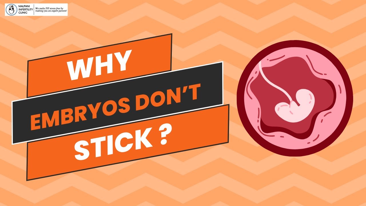 IVF - Why Embryos don't stick? What can you do to make them stick ...