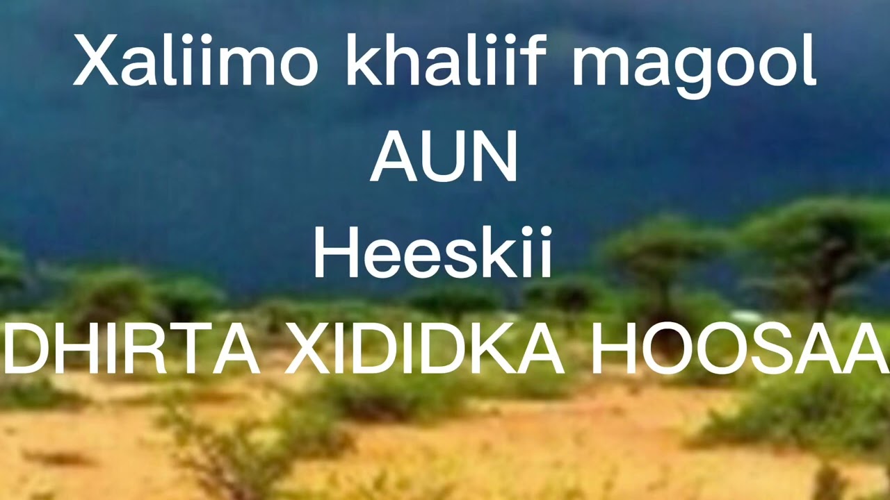 Xaliimo khaliif magool AUN heeskii DHIRTA XIDIDKA HOOSAA#. #sabiskarayb ...