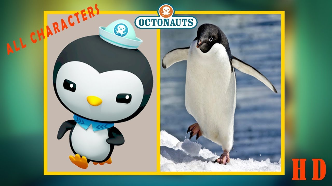 The Octonauts Characters In Real Life All Characters