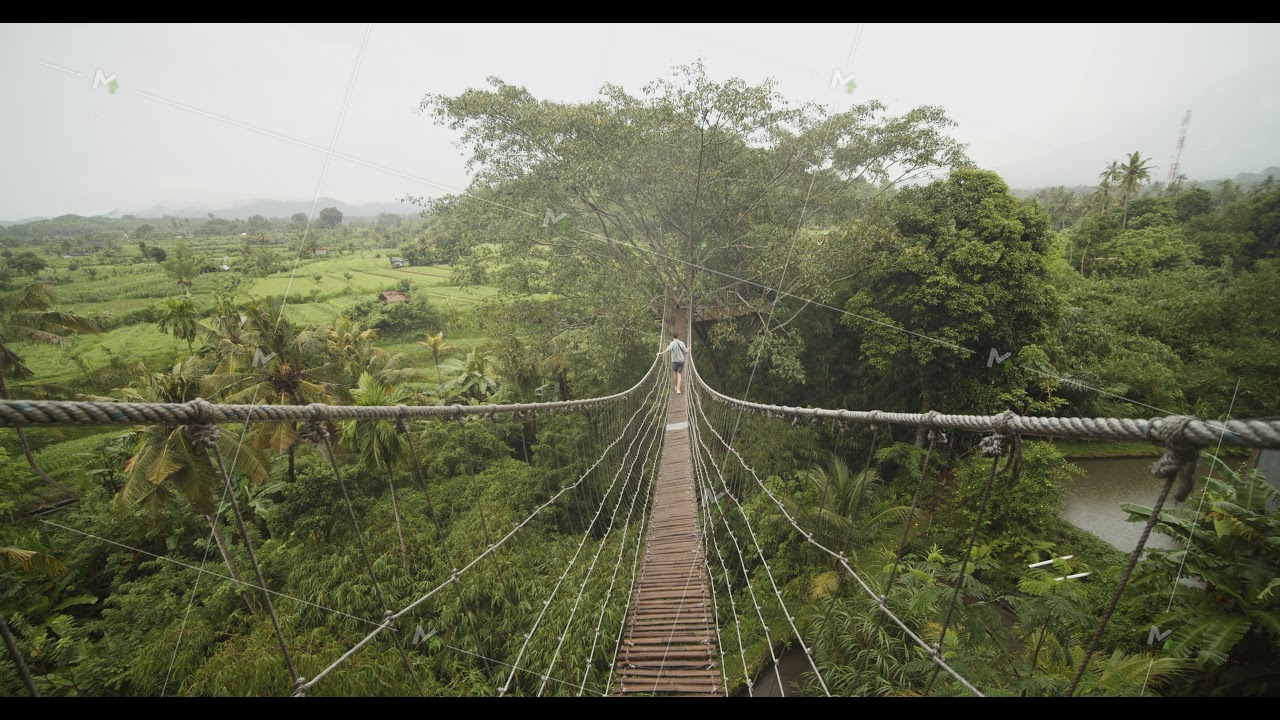 Wide view of a man walking across a shaky rope hanging bridge across a ...