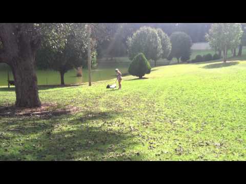 CHALLENGE SHOWDOWN- PARACHUTE SPRINTS