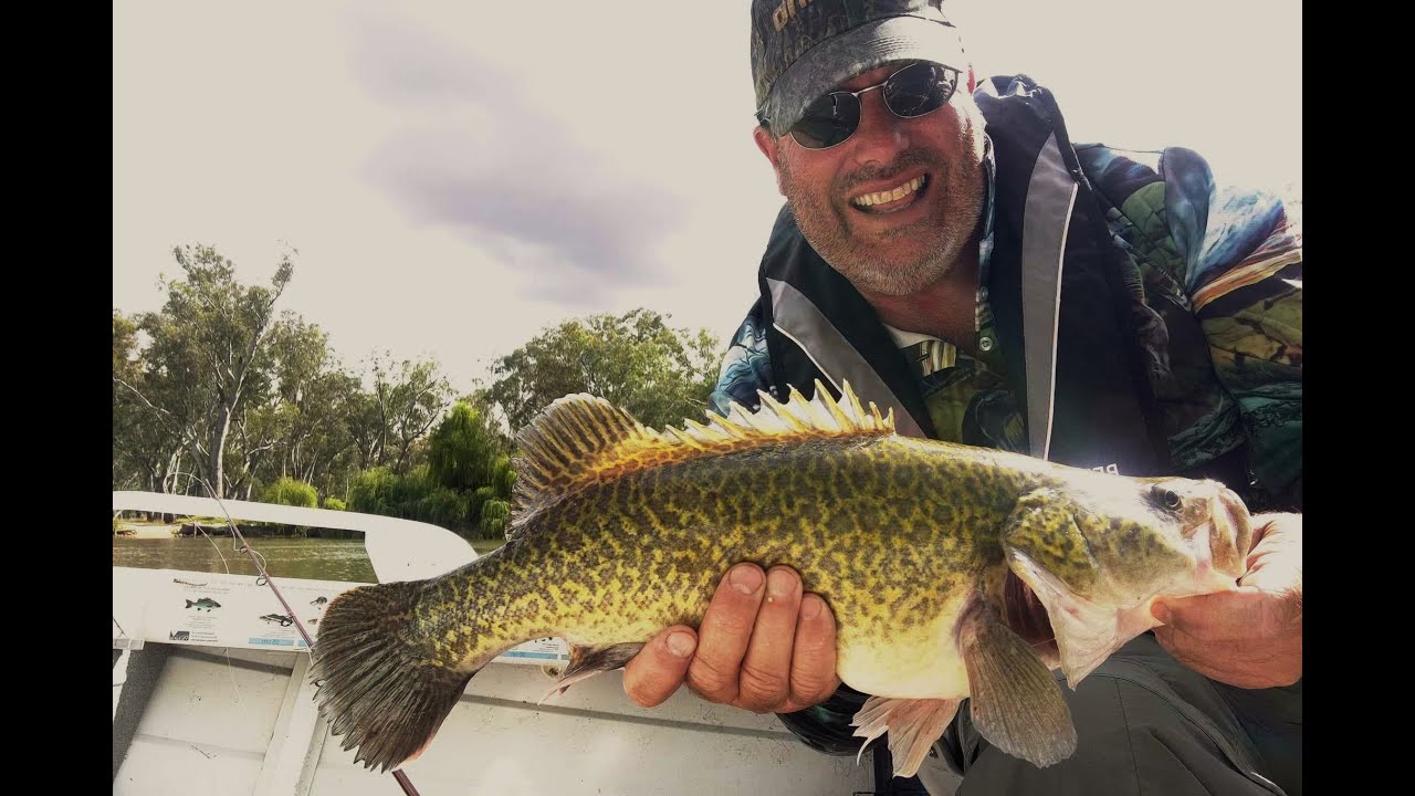 Good mates and great times on the Murray River for Cod Opening 2023 ...
