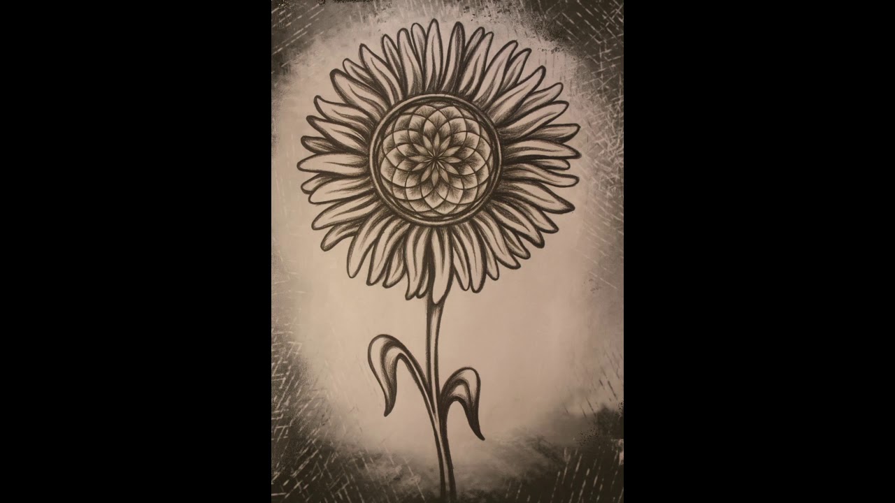 Sunflower Stop Motion - YouTube