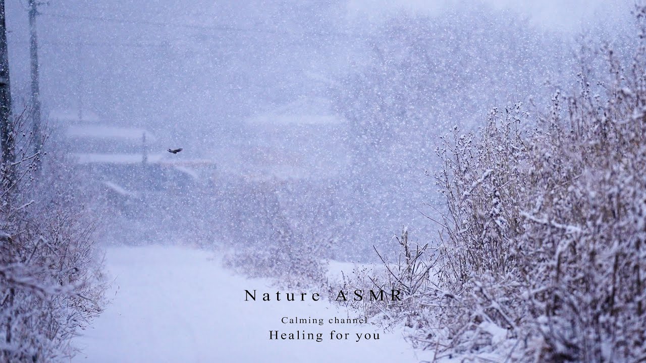 고요한 휴식을 위한 눈 내리는 소리 바람 소리 가득한 겨울 시골 풍경 Asmr 자연의소리 집중 수면 백색소음 Youtube