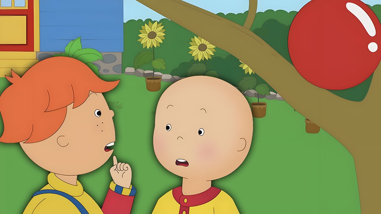 The Ball That Got Stuck in a Tree | Caillou's New Adventures - YouTube