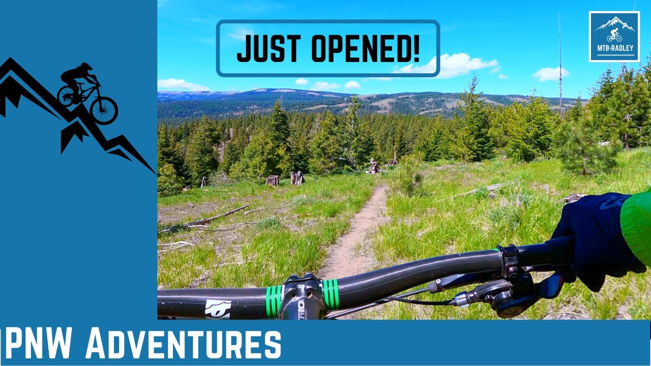 NEW PNW MOUNTAIN BIKING Trails! Naneum Ridge State Forest - All Open ...