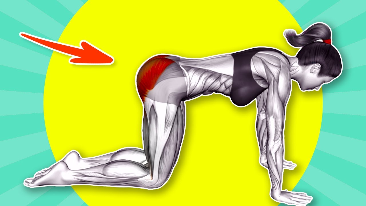 Best 8 GLUTE Exercises That Will Give You a Sculpted Backside - YouTube