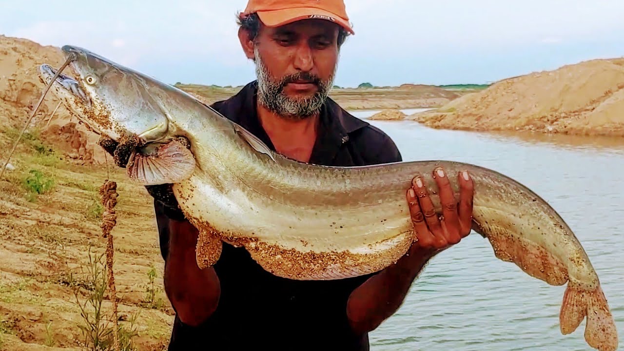 unique fishing 10 kg voluga fish catch amazing. - YouTube