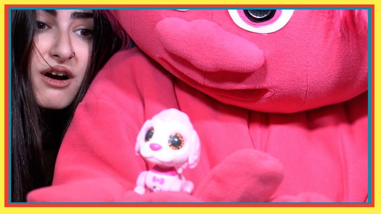 Zoomer Zupps - Coco - Tiny Pups Interactive Puppy - Check it out with ...