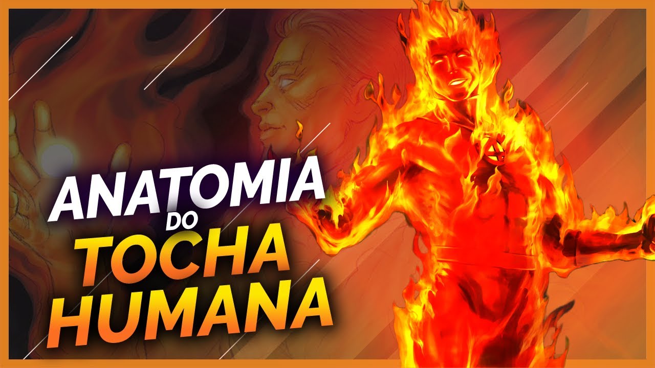 10 FATOS SOBRE A ANATOMIA DO TOCHA HUMANA - YouTube