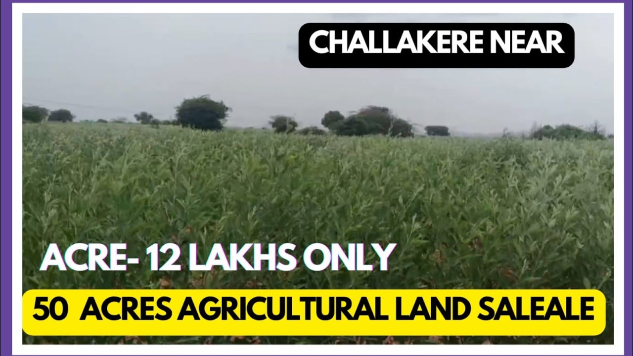 50 Acres agricultural open land sale Acre- 12 lakhs, challakere near, 12 national highway🛣️ ...