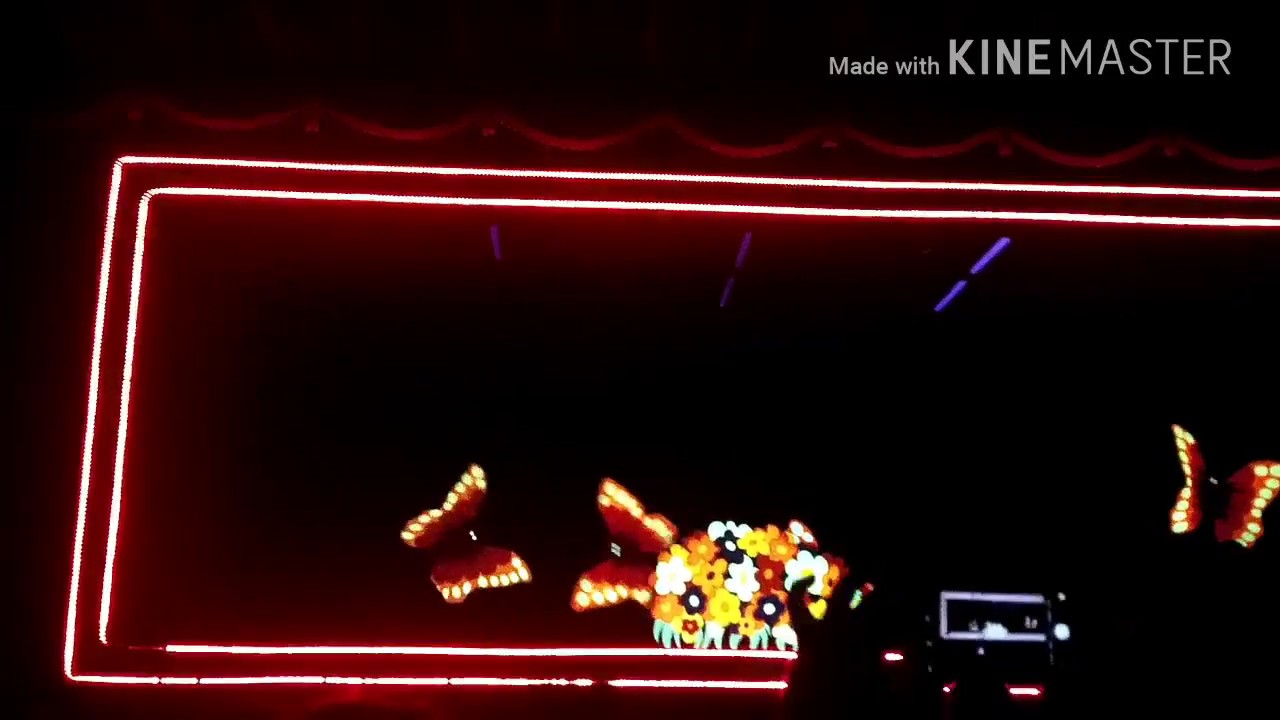 Best Animated Live Show Season 2 - YouTube
