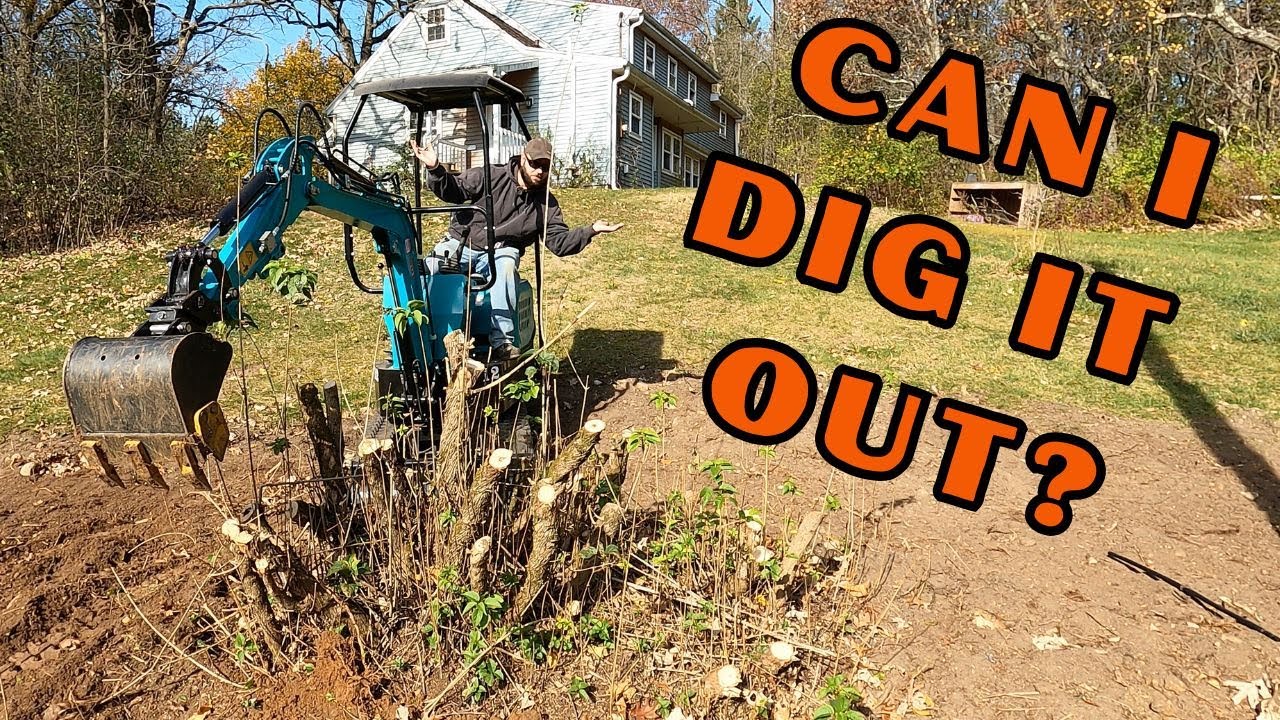 DIGGING OUT ROOT BALLS WITH THE CHINESE EXCAVATOR - YouTube