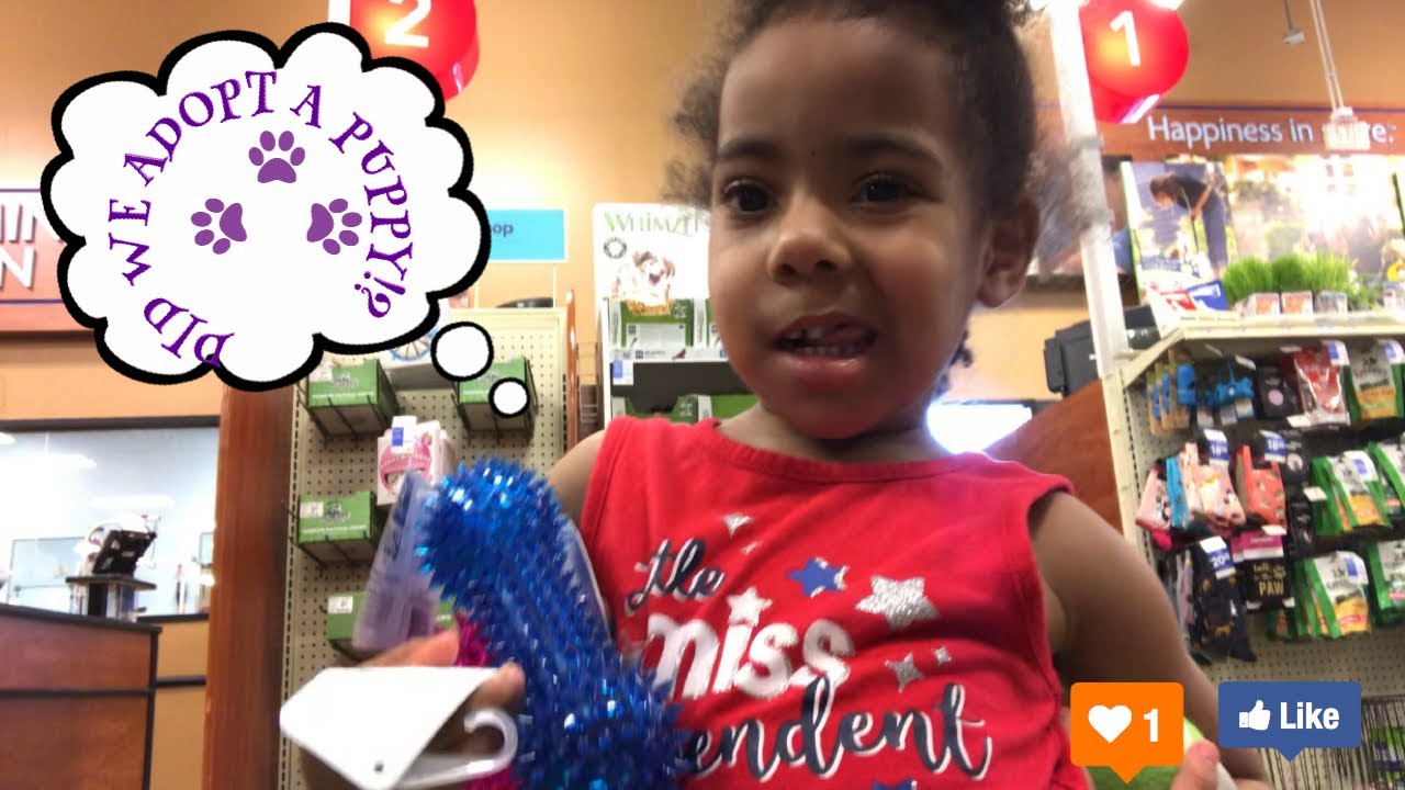 PUPPY POP-UP ADOPTION EVENT!!! - YouTube