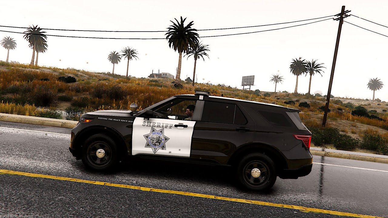 The Best Realistic FiveM Police Experience - YouTube