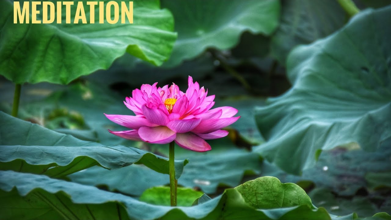 Powerful Focus Meditation for Students & Professionals | Mental Clarity ...