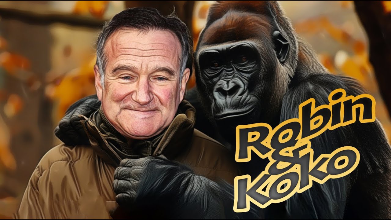 The Amazing Story of Robin Williams & Koko ~ How One Man Taught A ...