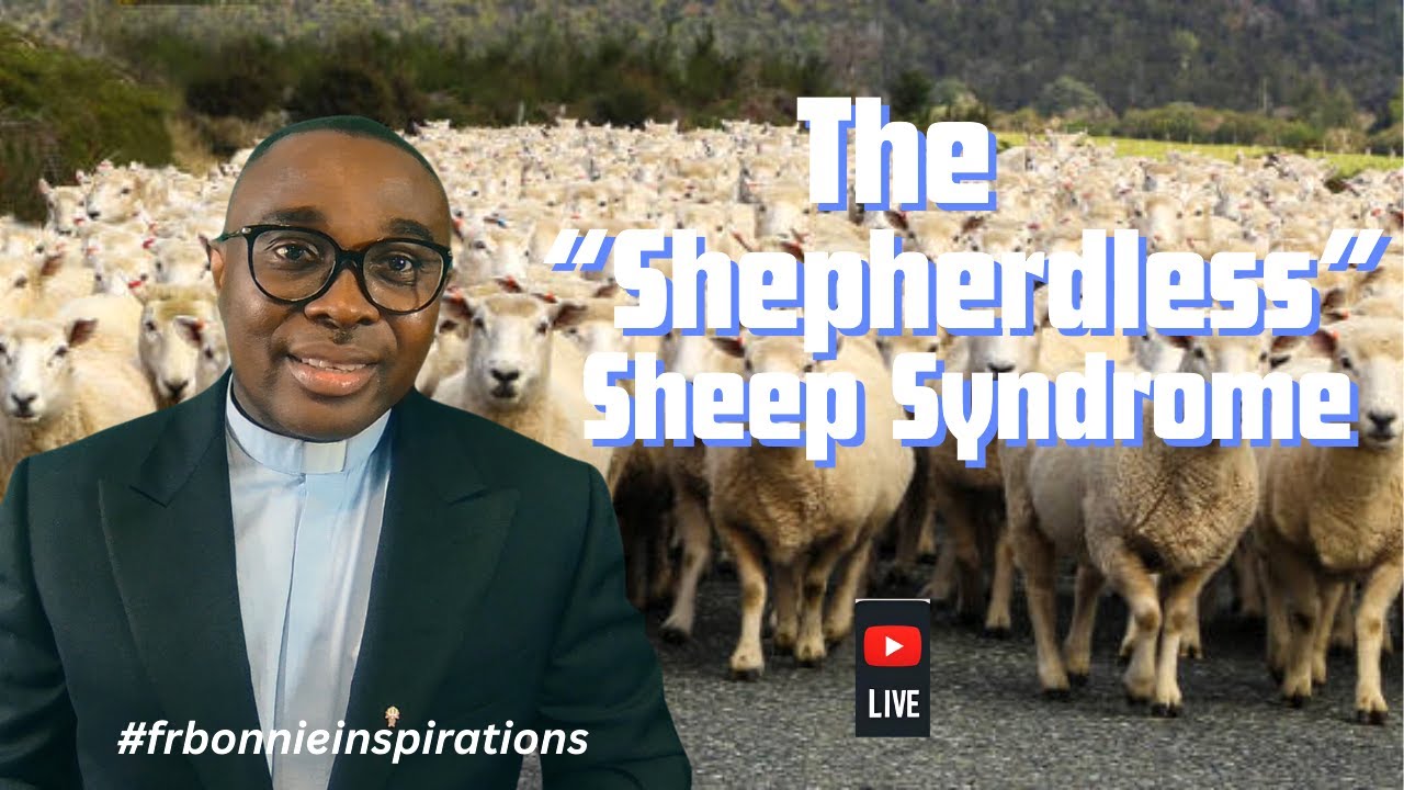 The "Shepherdless" Sheep Syndrome: Reflection for the 16th Sunday in ...