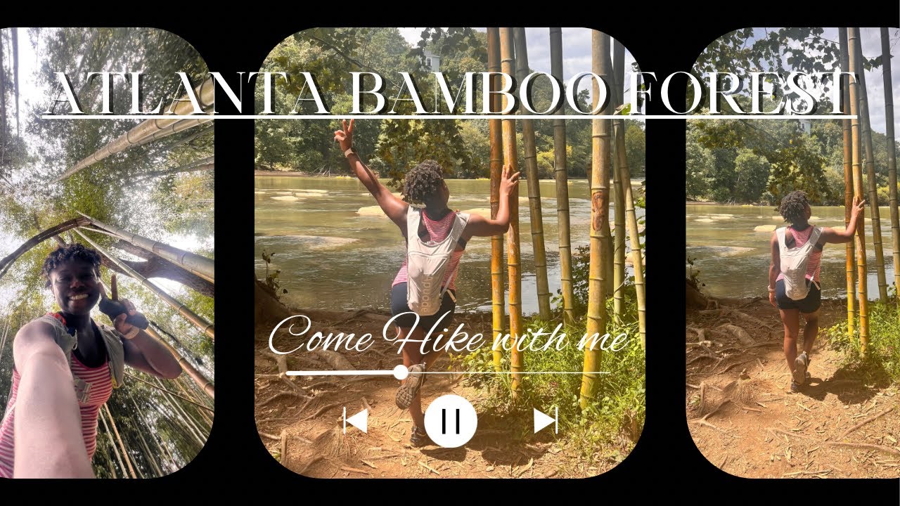 The Bamboo Forest You Didn't Know About | Atlanta Bamboo Forest - YouTube