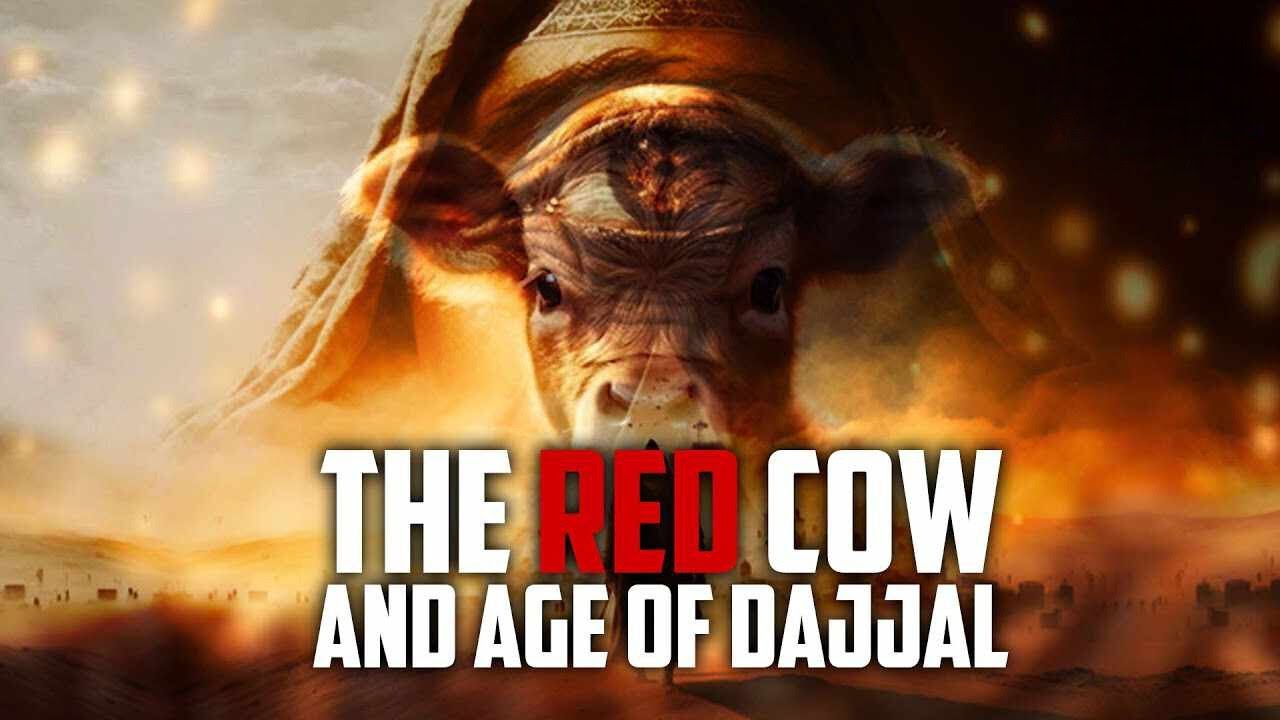 Unraveling Dajjal's Enigma: The Red Cow's Importance - YouTube