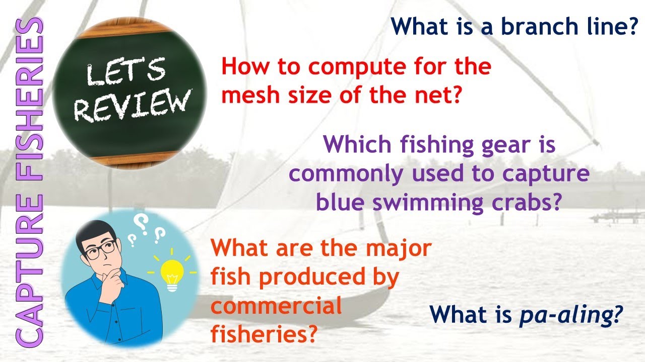 Capture Fisheries