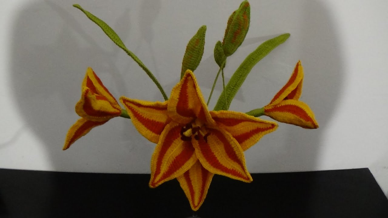 1.Crin Salbatic crosetat pas cu pas- Petala mica- Partea I - YouTube