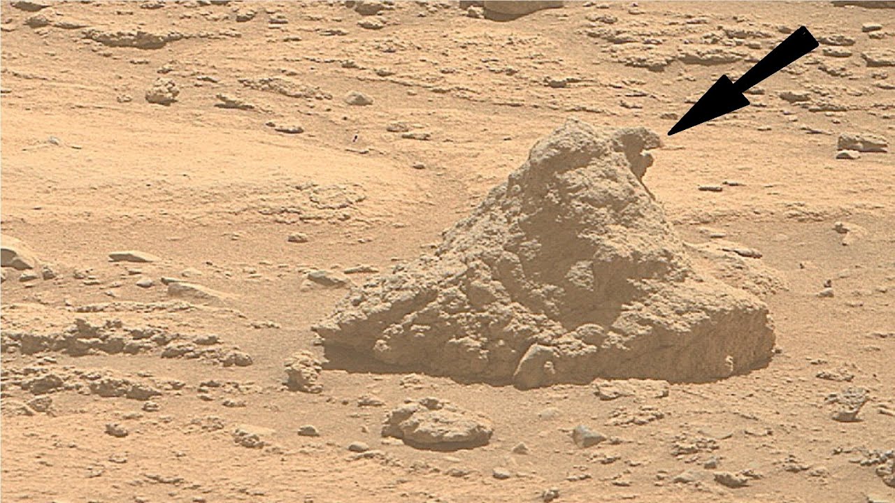 PERSEVERANCE ROVER FOUND STRANGE ROCKS WHILE TRACKING THE AREA OF ...