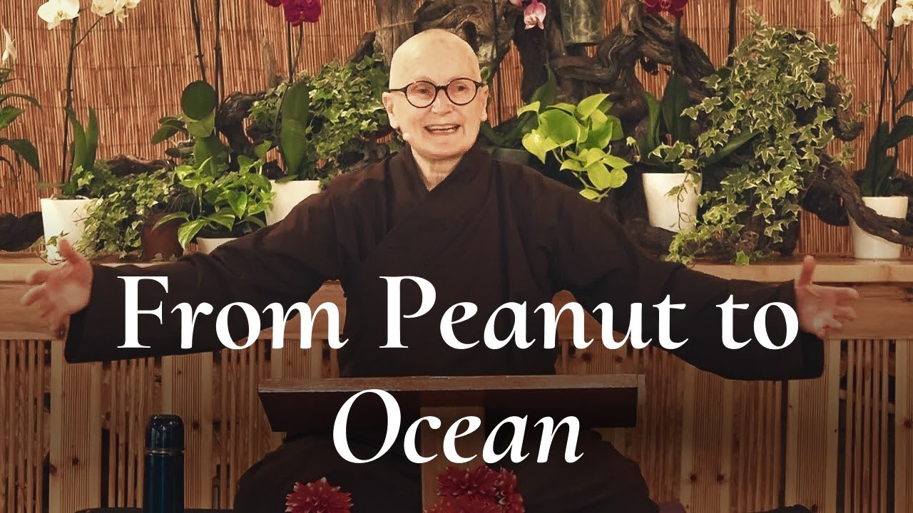 Growing a Heart as Vast as the Ocean | Sr. Dao Nghiem - YouTube