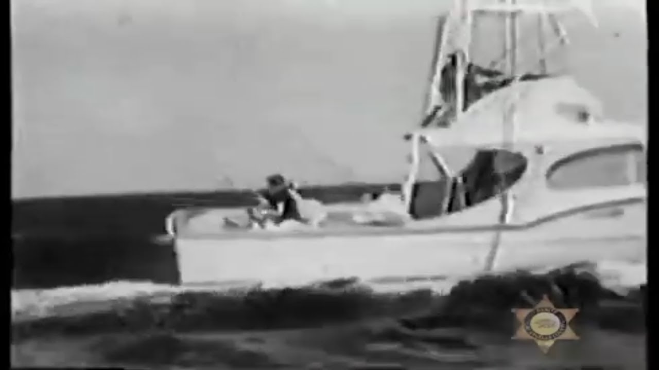 Code 3 TV Series - YouTube