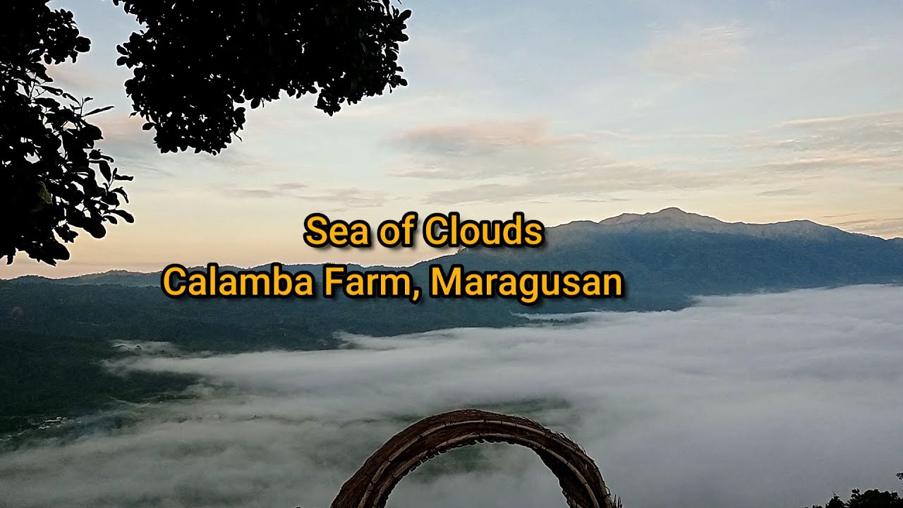Sea of Clouds - Calamba Farm, Maragusan, Compostela Valley - YouTube
