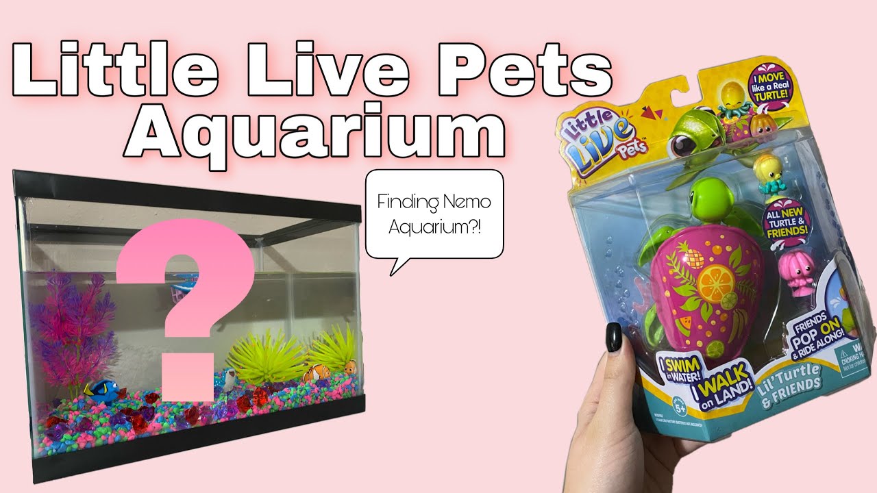Making A Little Live Pets Turtle Aquarium ! | Interactive Pet Toy - YouTube